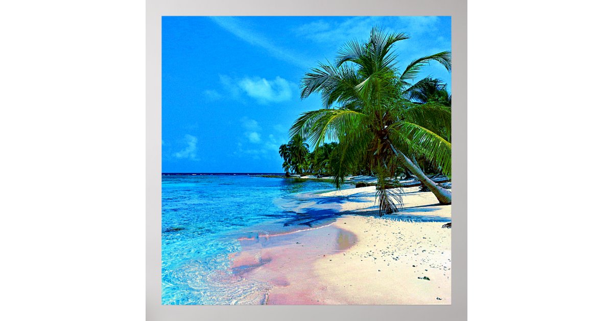 Tropical Island With Palm Trees And Sandy Beach Poster | Zazzle