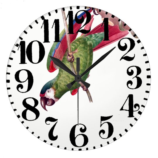 Tropical Macaw Parrot Bird Big Number Wall Clock | Zazzle.com