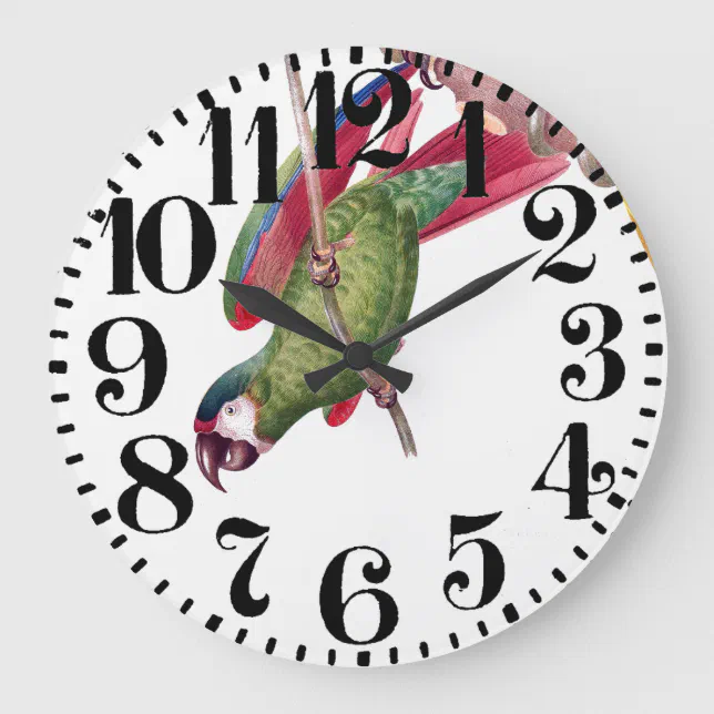 Tropical Macaw Parrot Bird Big Number Wall Clock | Zazzle