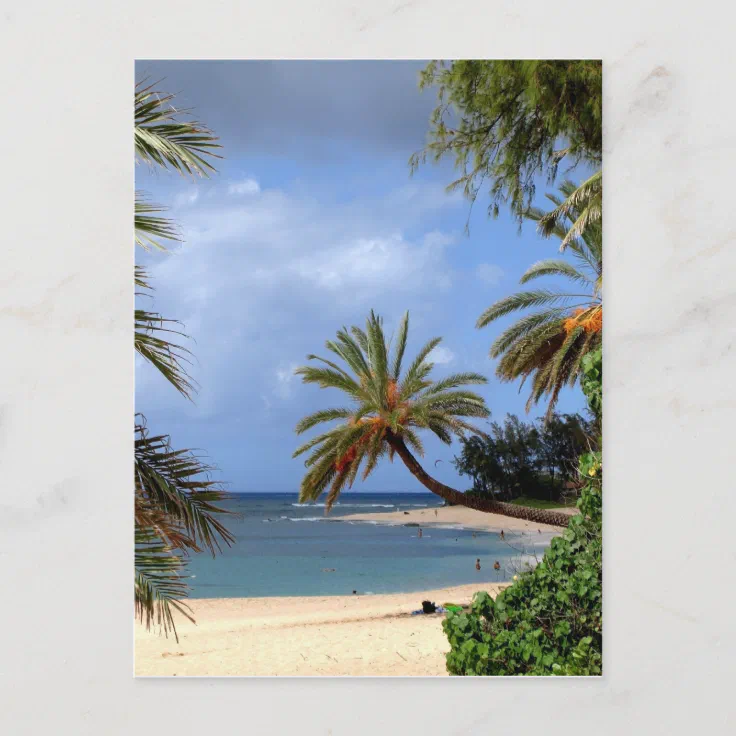 Tropical North Shore Beach, Oahu, Hawaii Postcard | Zazzle