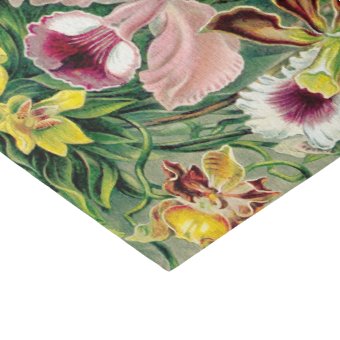 Tropical Orchid Flowers Floral Tissue Paper | Zazzle