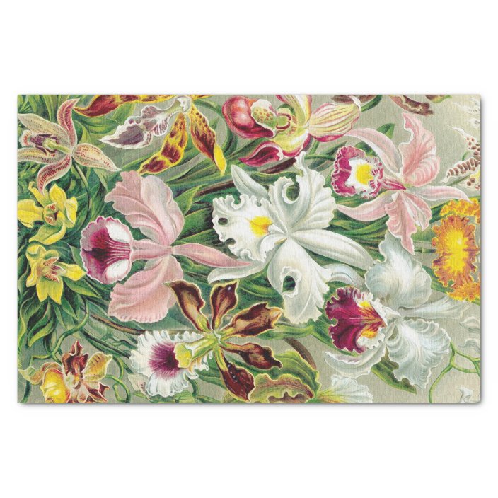 Tropical Orchid Flowers Floral Tissue Paper | Zazzle.com
