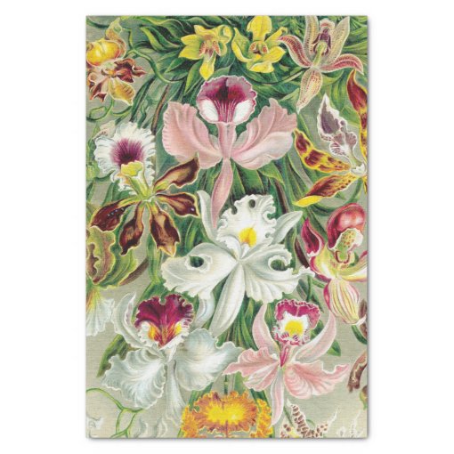 Tropical Orchid Flowers Floral Tissue Paper | Zazzle