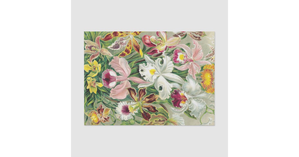 Tropical Orchid Flowers Floral Tissue Paper | Zazzle