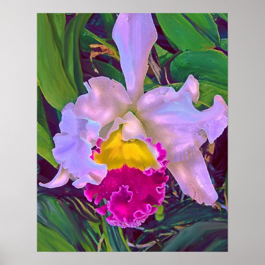 tropical orchid poster | Zazzle.com