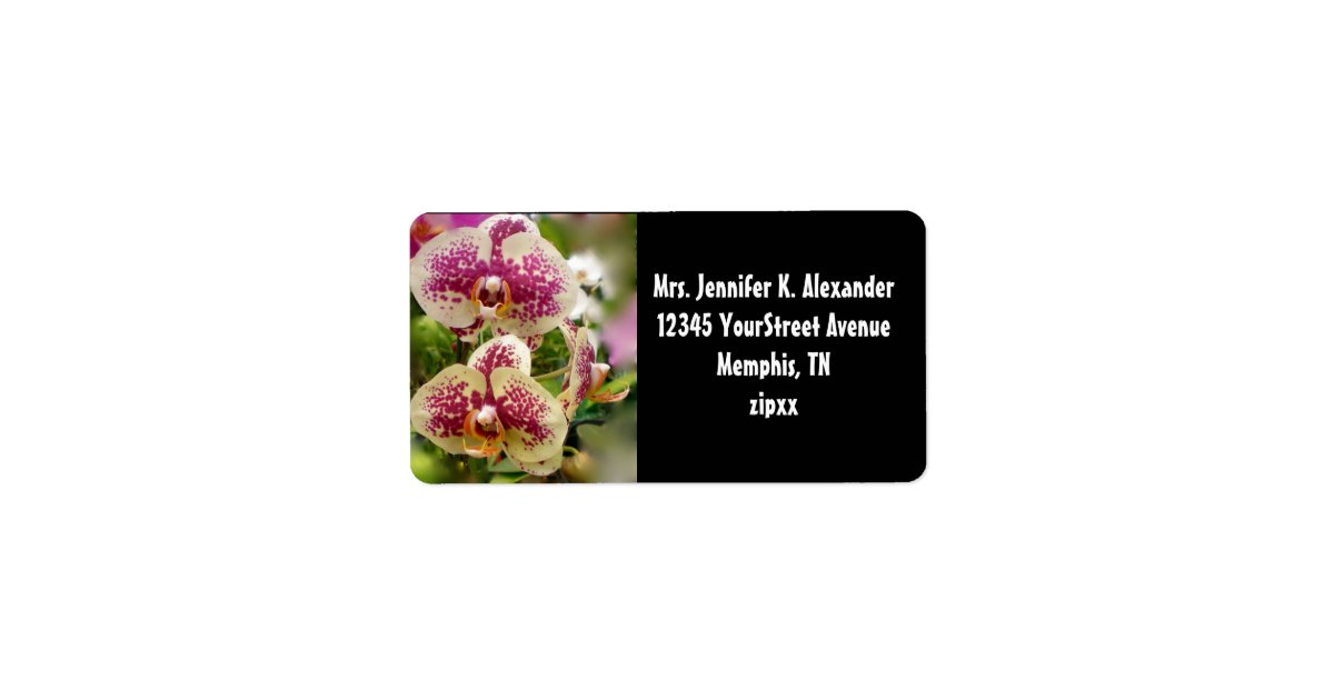 Tropical Orchids Label | Zazzle