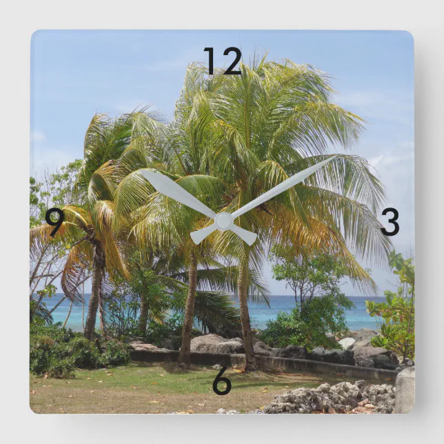 Tropical Palm Tree Clock | Zazzle