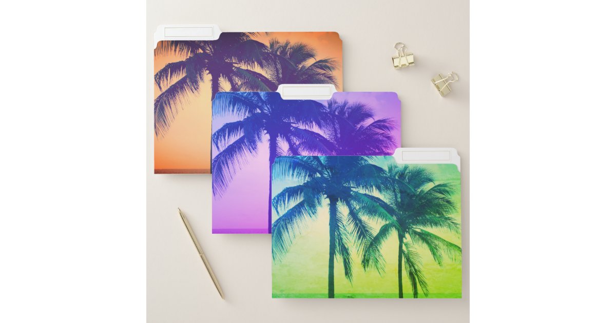 Tropical palm tree coastal ocean photo image file folder | Zazzle