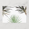 Tropical Palm Tree Wedding Enclosure Details Card | Zazzle