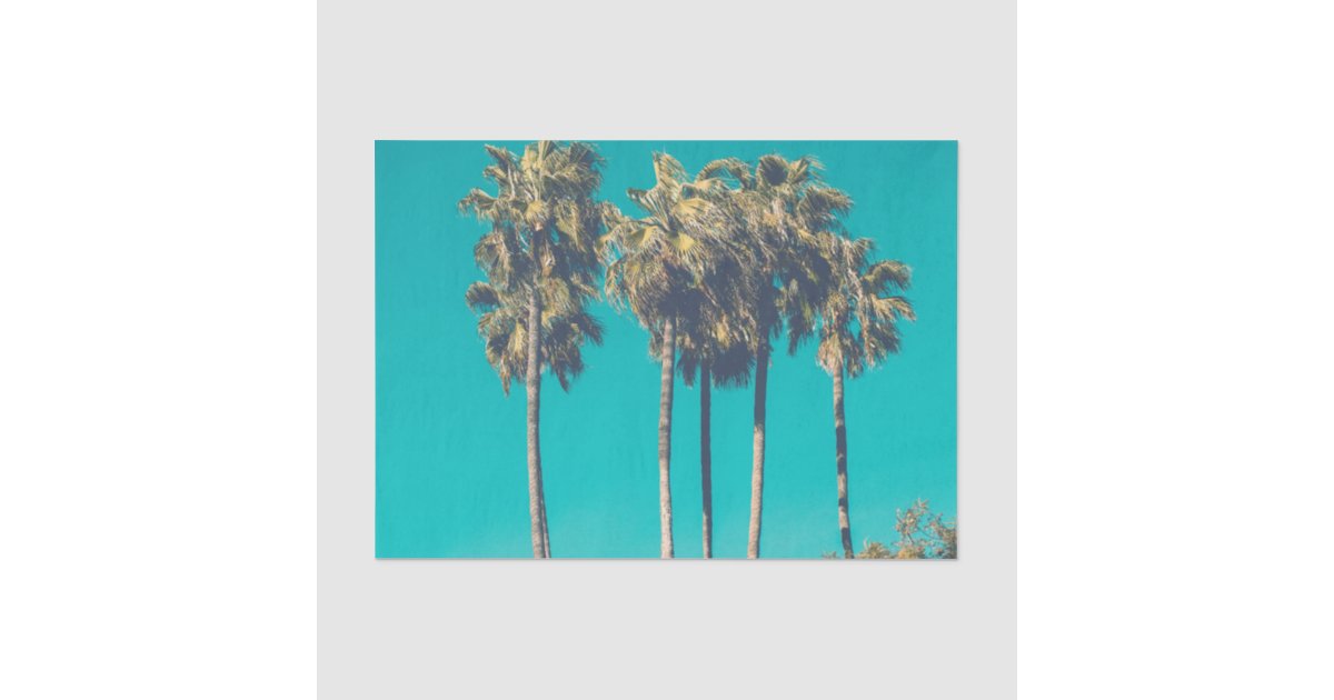 Tropical Palm Trees Retro Tissue Paper | Zazzle