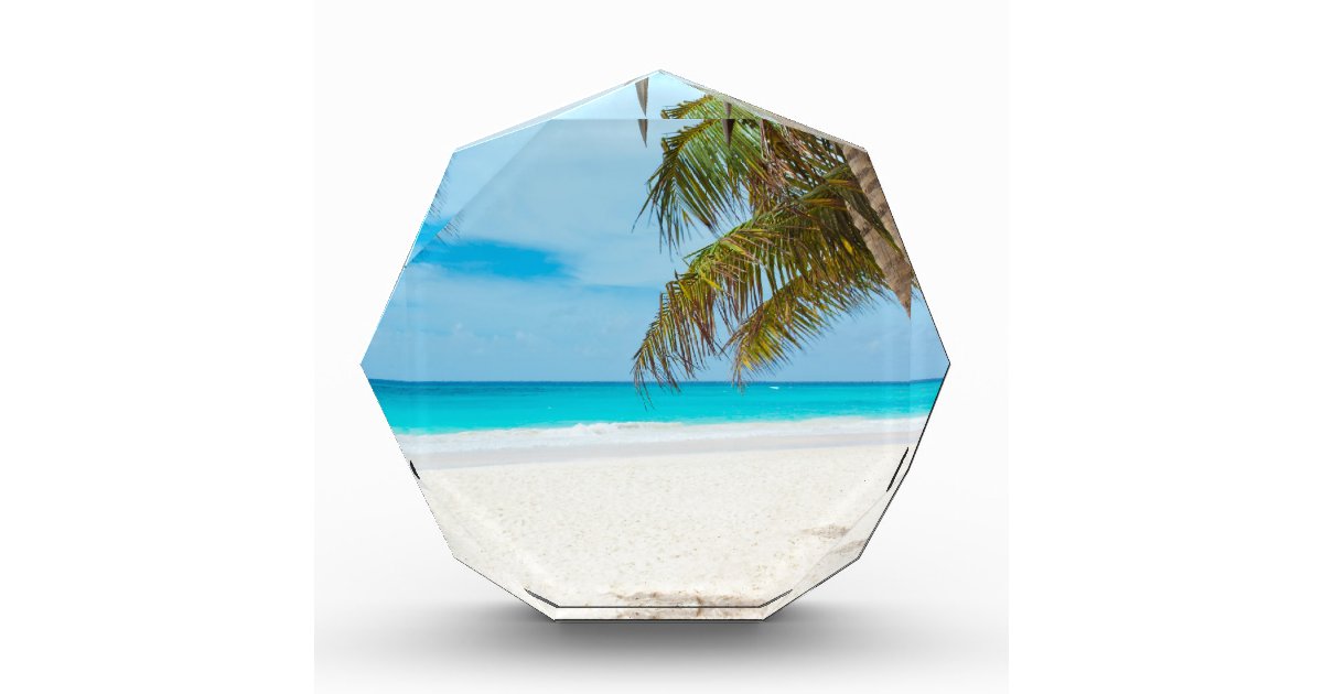 Tropical Paradise Beach Award | Zazzle