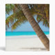 Tropical Paradise Beach Binder | Zazzle