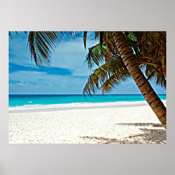 Tropical Paradise Poster | Zazzle.com