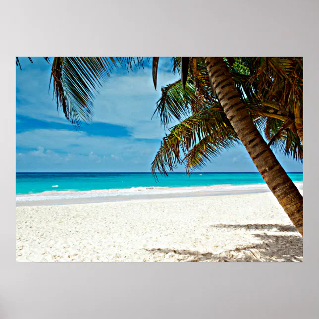 Tropical Paradise Poster | Zazzle