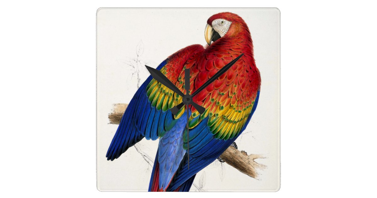 Tropical Parrot Clock | Zazzle