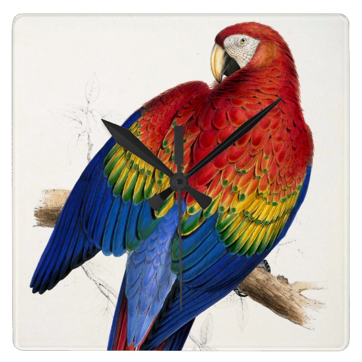Tropical Parrot Clock | Zazzle