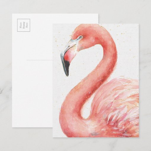 Tropical | Pink Flamingo Postcard | Zazzle