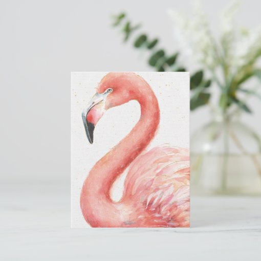 Tropical | Pink Flamingo Postcard | Zazzle