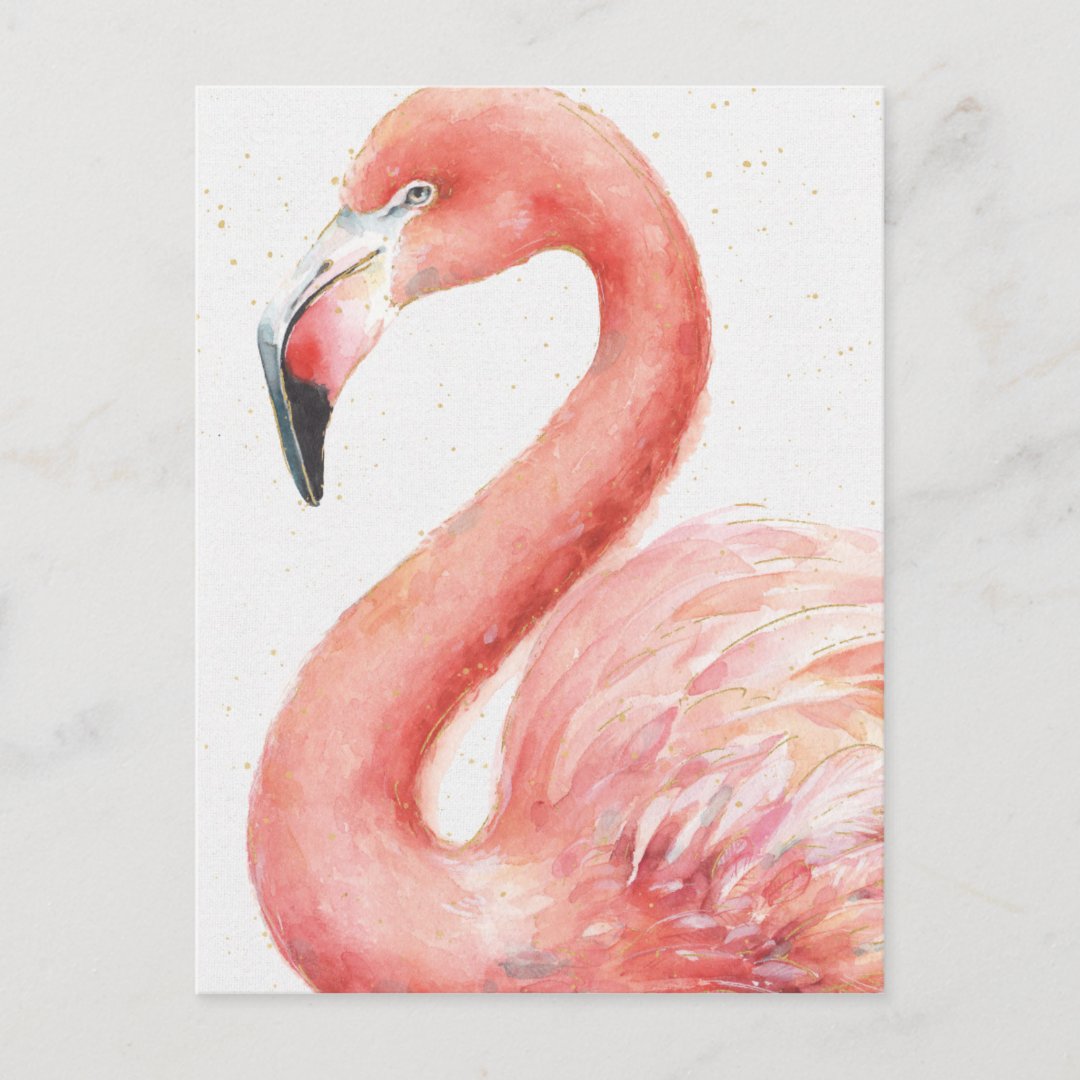 Tropical | Pink Flamingo Postcard | Zazzle