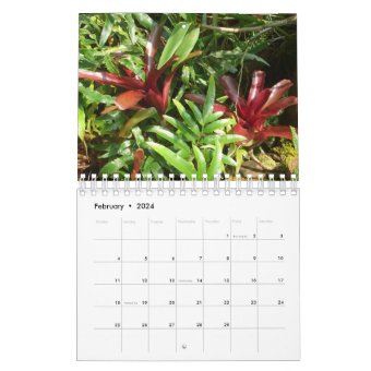 Tropical Rainforest Plants Calendar | Zazzle
