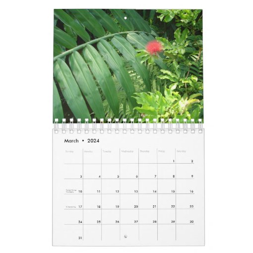 Tropical Rainforest Plants Calendar | Zazzle