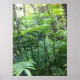 Tropical Rainforest Poster | Zazzle