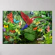 Tropical Rainforest Poster | Zazzle