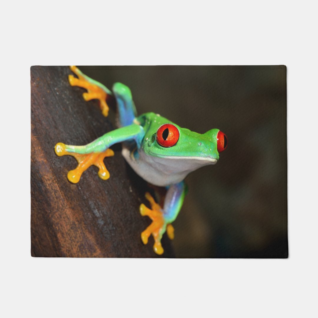 Tropical Red Eye Frog - Agalychnis Callidryas Doormat | Zazzle