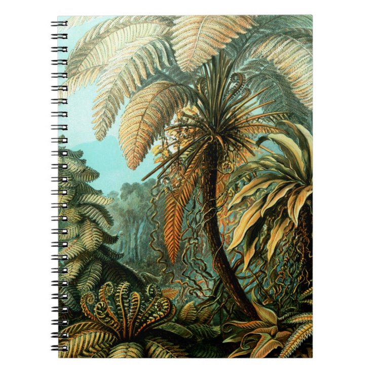 Tropical Scenery with Palm Tree Notebook | Zazzle