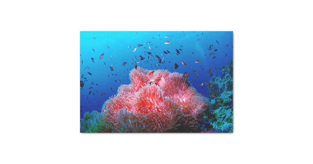 Tropical Sea Life Pink Glowing Anemone Coral Tissue Paper | Zazzle