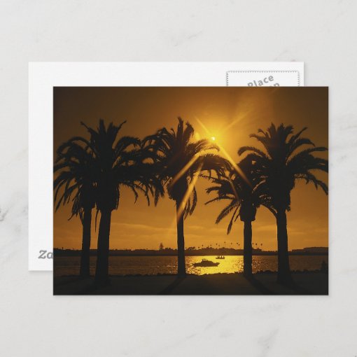 Tropical Sky Background Postcard | Zazzle