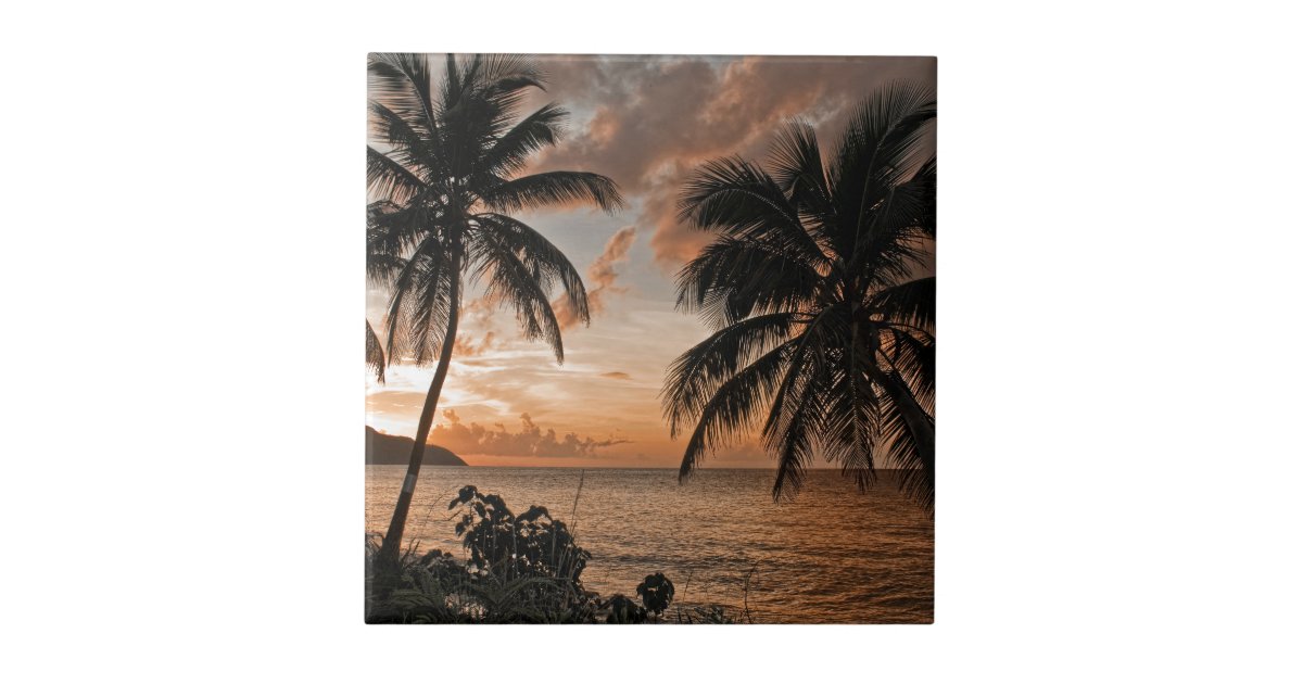 Tropical Sunset Beach Palm Trees Tile | Zazzle