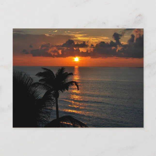 Tropical Sunset (Cancun) landscape photograph Postcard | Zazzle