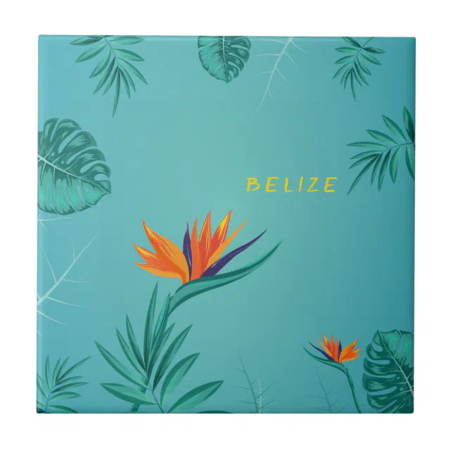 Tropical Teal Blue Green Palm Monogram Belize Ceramic Tile | Zazzle