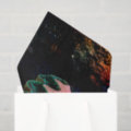 Tropical Undersea Coral Clam Seashells Tissue Paper | Zazzle
