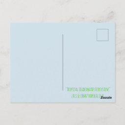 Tropical Underwater Ecosystem Postcard | Zazzle