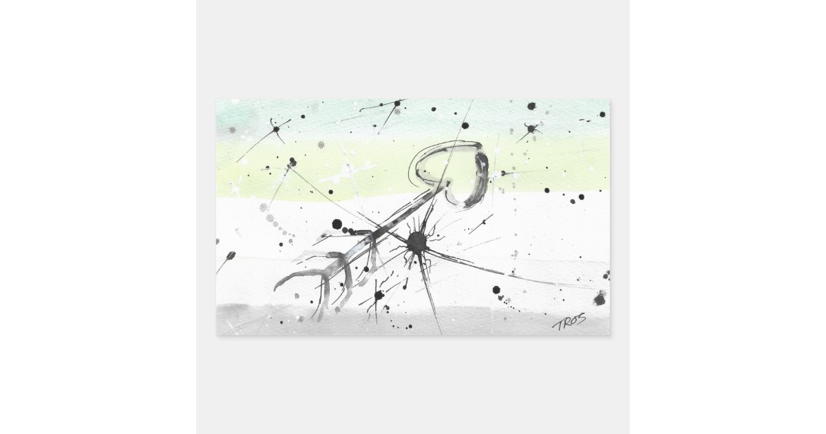 TROS Aromanttic (Aro) Pride Flag Stickers | Zazzle