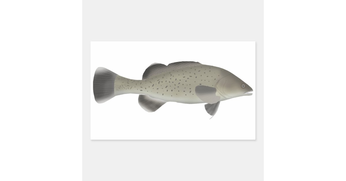 Trout Cod Rectangular Sticker | Zazzle