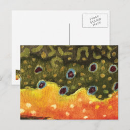 Trout Fly Fishing Postcard | Zazzle