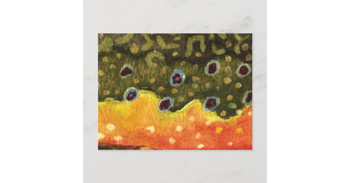 Trout Fly Fishing Postcard | Zazzle
