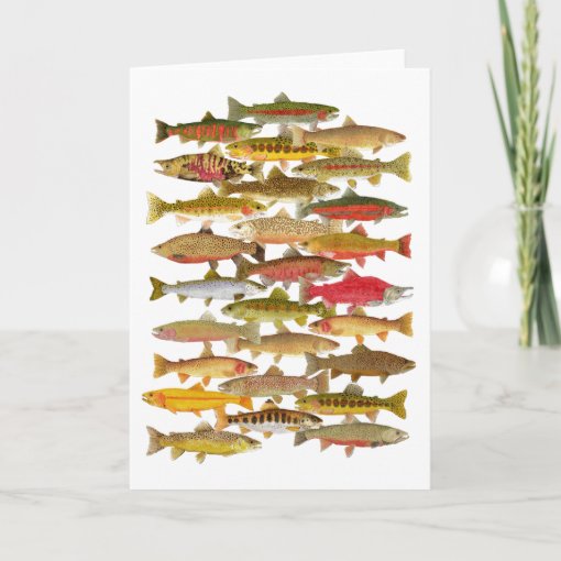 Trout & Salmon Greeting Card | Zazzle