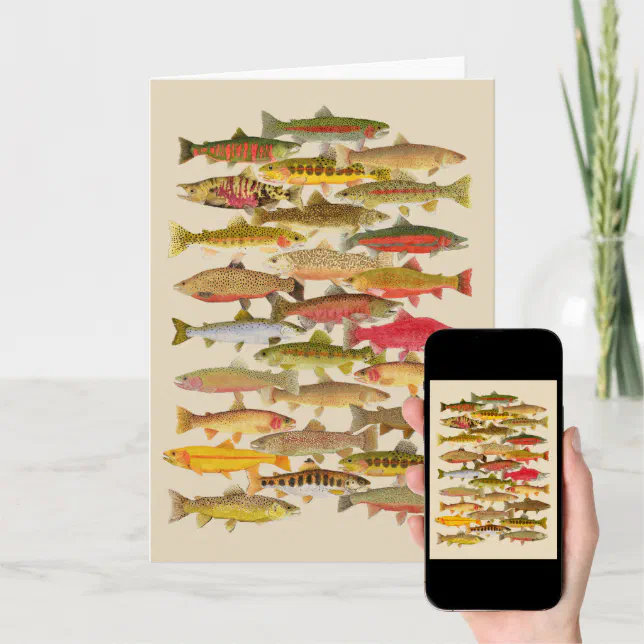 Trout & Salmon Species Card | Zazzle