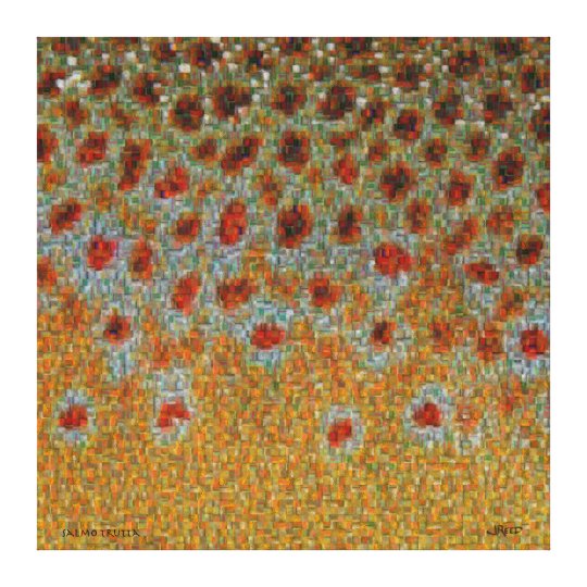 Trout Skin Montage - Brown Trout Canvas Print | Zazzle.com