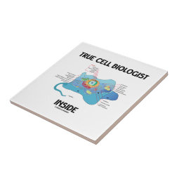 True Cell Biologist Inside (Eukaryote) Ceramic Tile | Zazzle