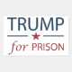 Trump For Prison Anti Trump Political Slogan Rectangular Sticker | Zazzle