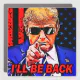 Trump I'll back 2024 I will be back anti Biden Car Magnet | Zazzle