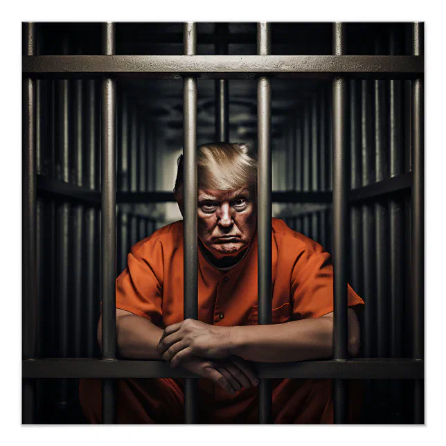 Trump in Jail Poster | Zazzle