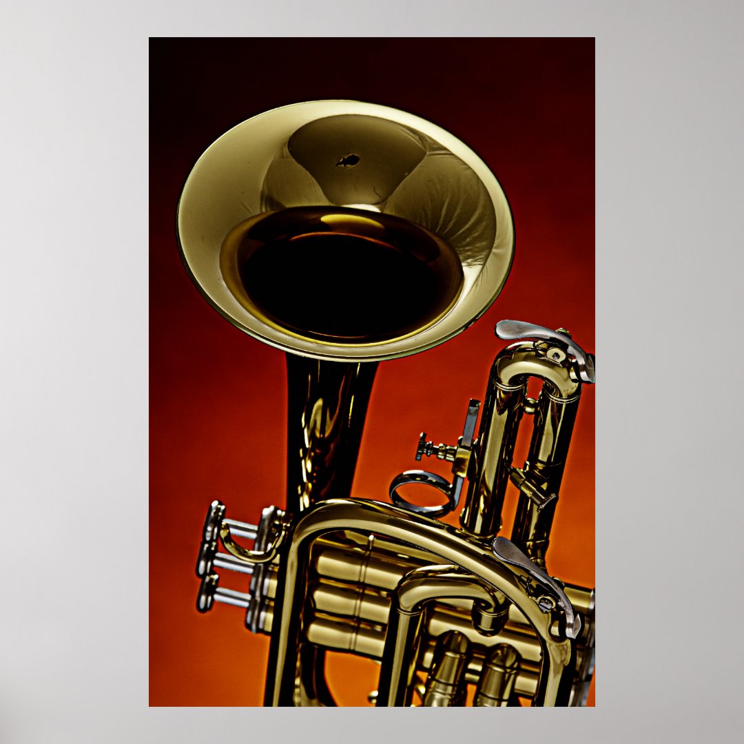 Trumpet Poster Picture of a Trumpet | Zazzle
