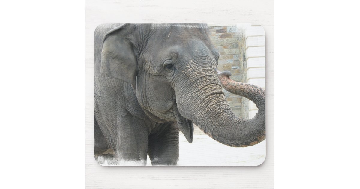 Trumpeting Elephant Mouse Pad | Zazzle