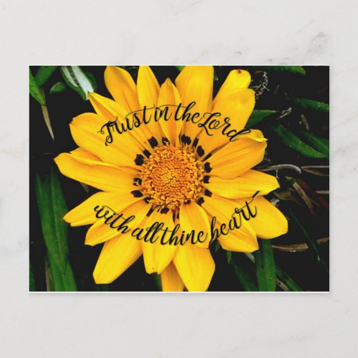 Trust in the Lord Bright Yellow Flower Postcard | Zazzle